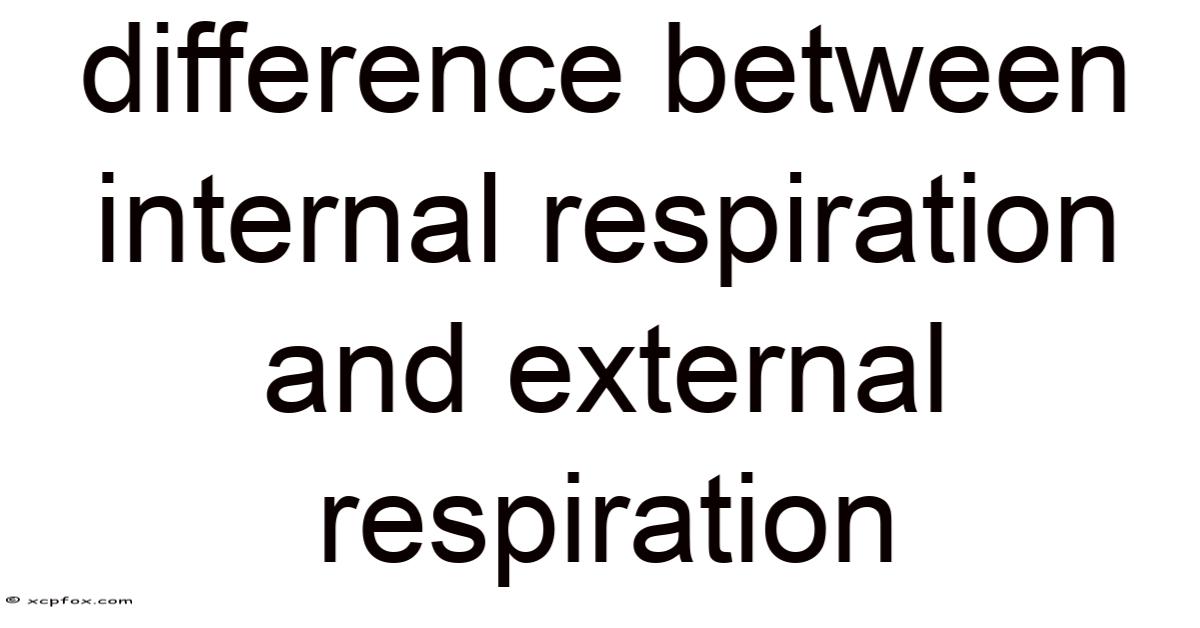 Difference Between Internal Respiration And External Respiration