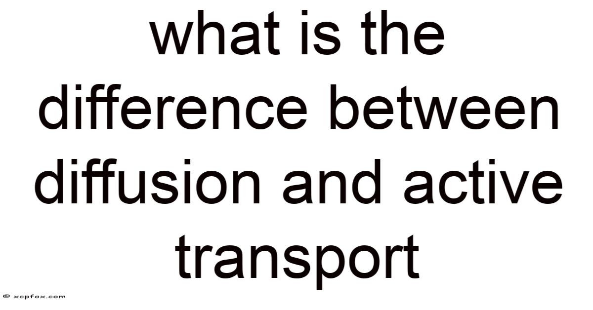 What Is The Difference Between Diffusion And Active Transport